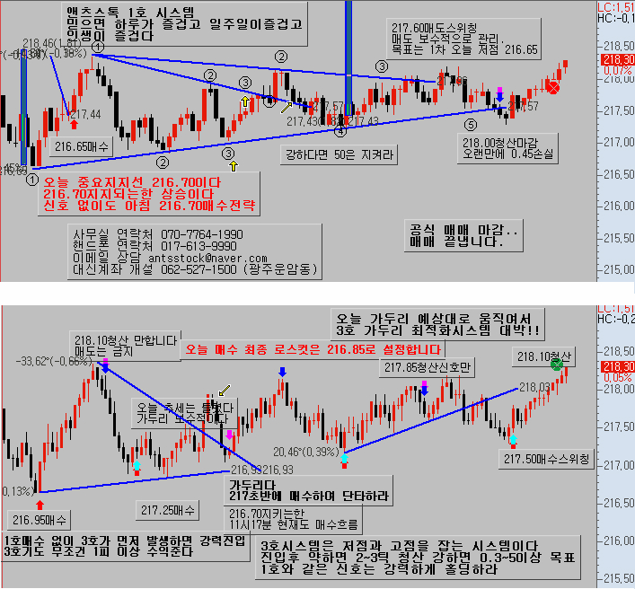 백리향의 시장읽기 소액투자자의 슬픈현실 선옵전문가분석 선물옵션 팍스넷 증권포털